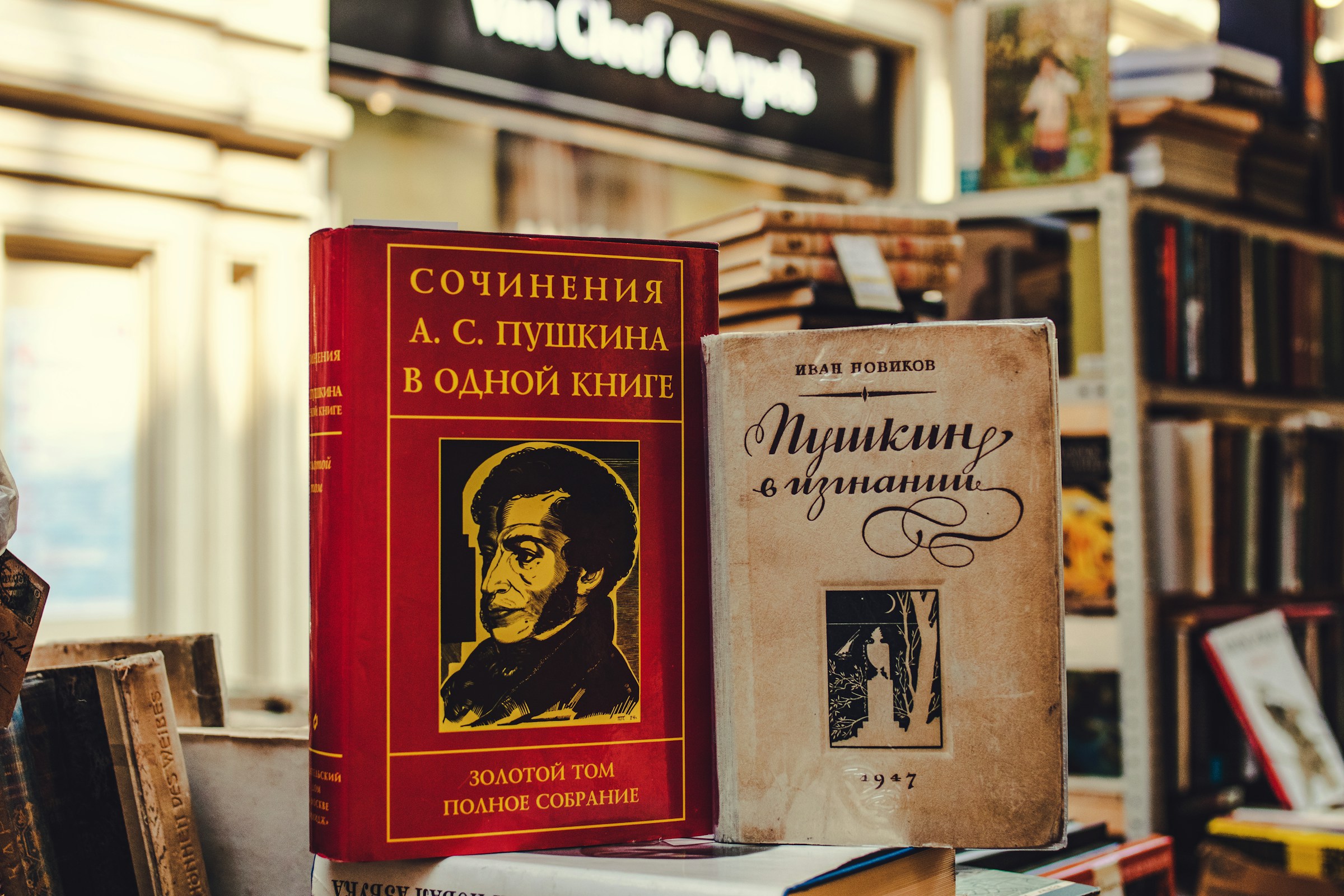Русский язык: Уроки и упражнения