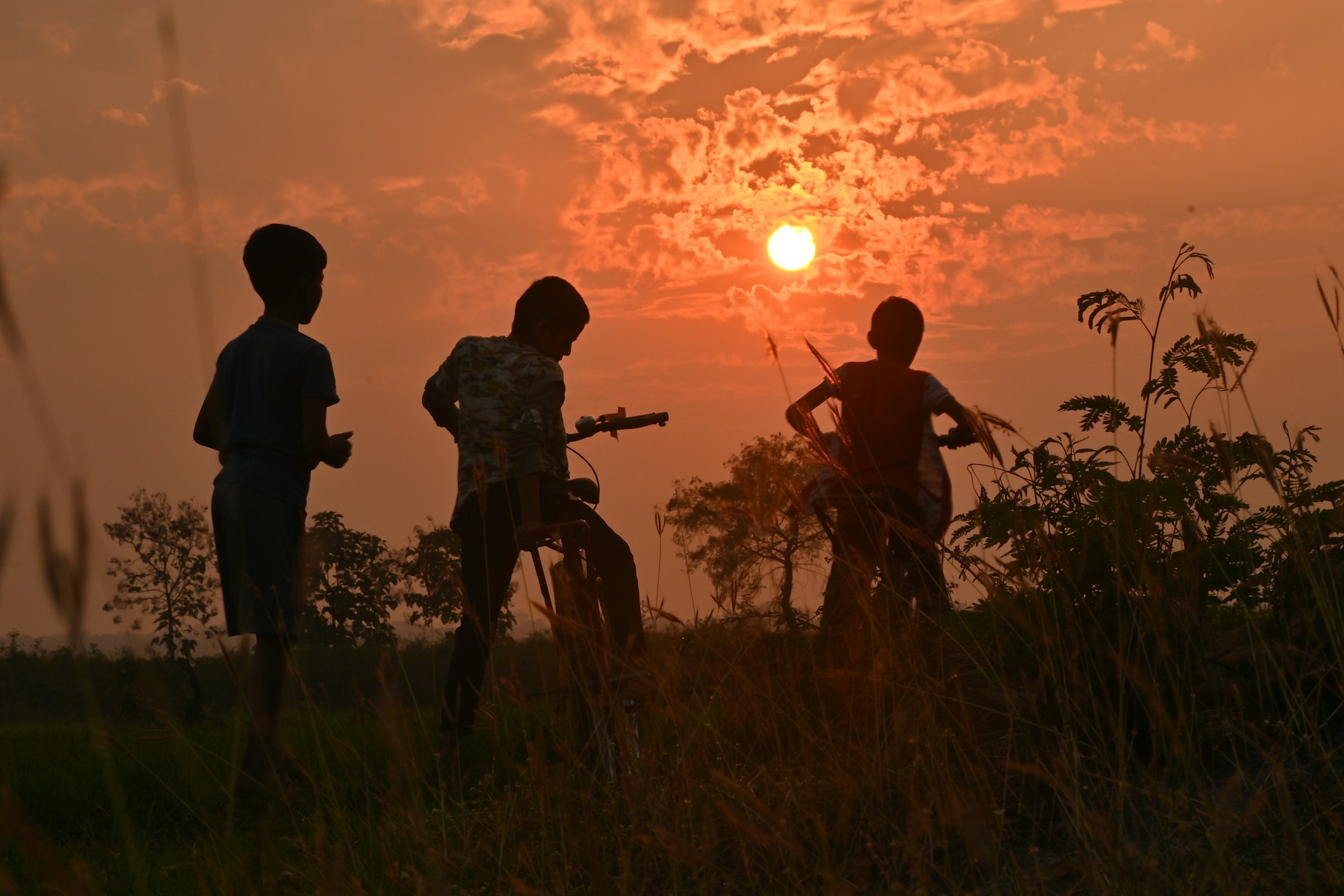 Лунтик и друзья: Серии и игры