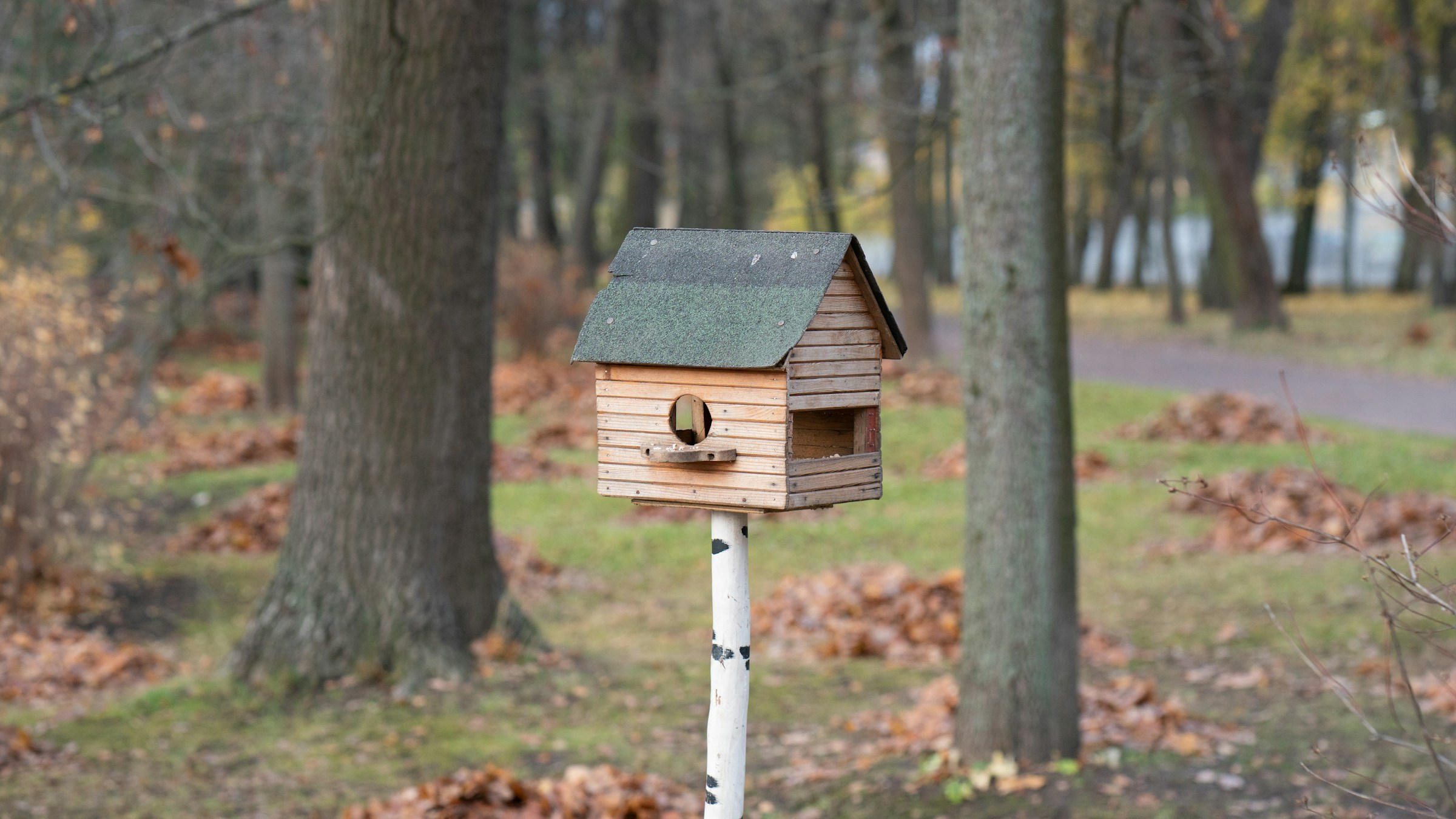 Кормушки для птиц и животных