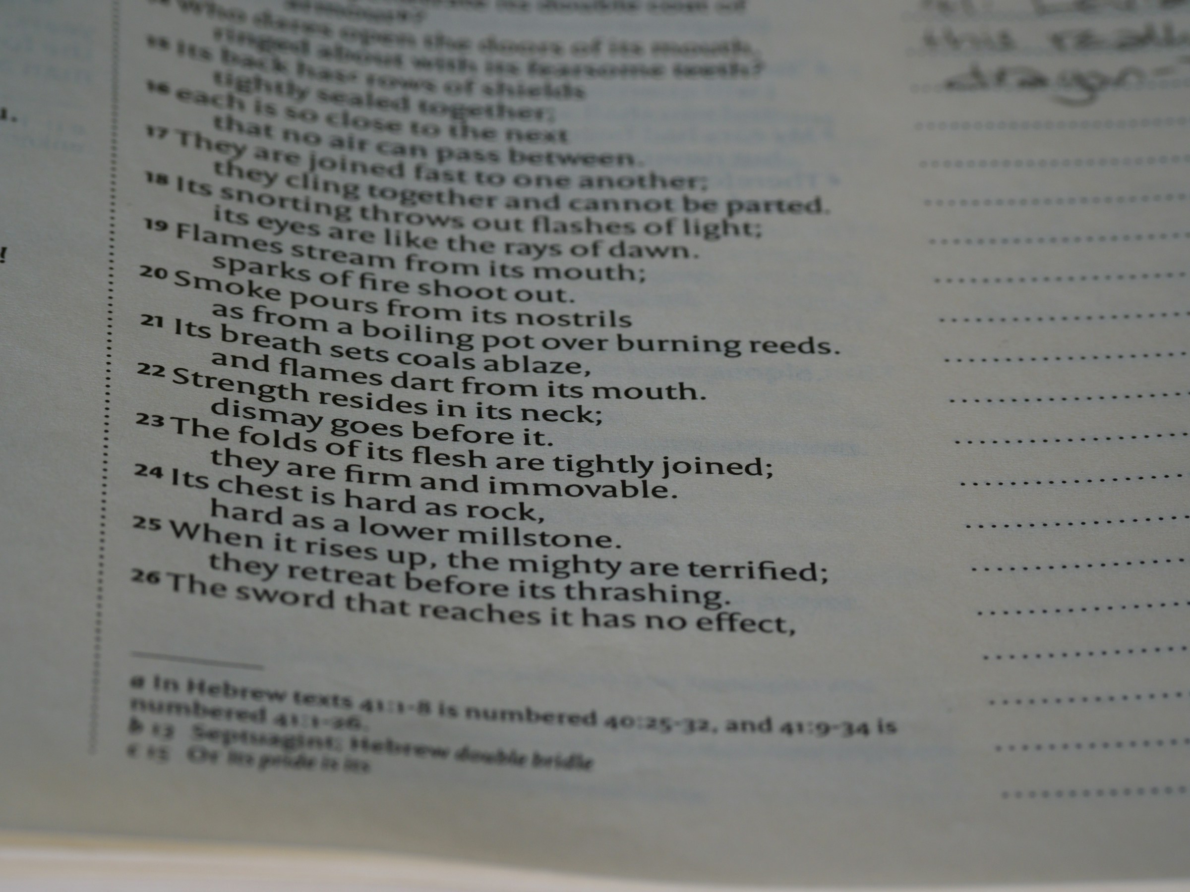 Английский Spotlight: Уроки и Упражнения