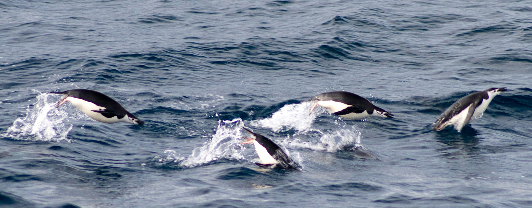 Топ интересных фактов о мире