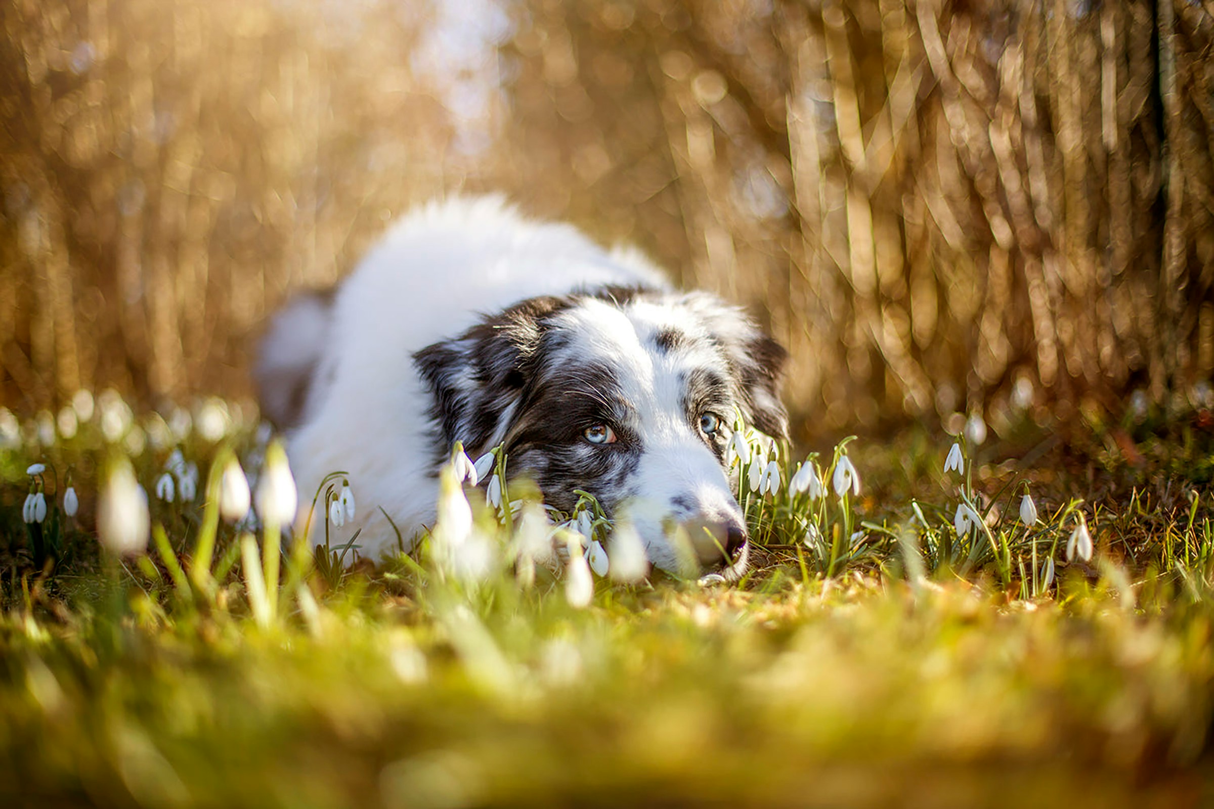 Реакции Tiny Bunny и персонажей