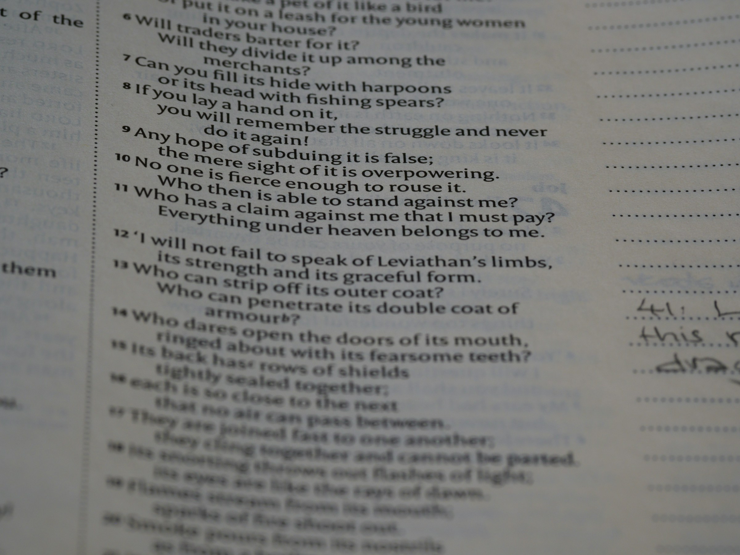 Spotlight и Starlight Упражнения по английскому