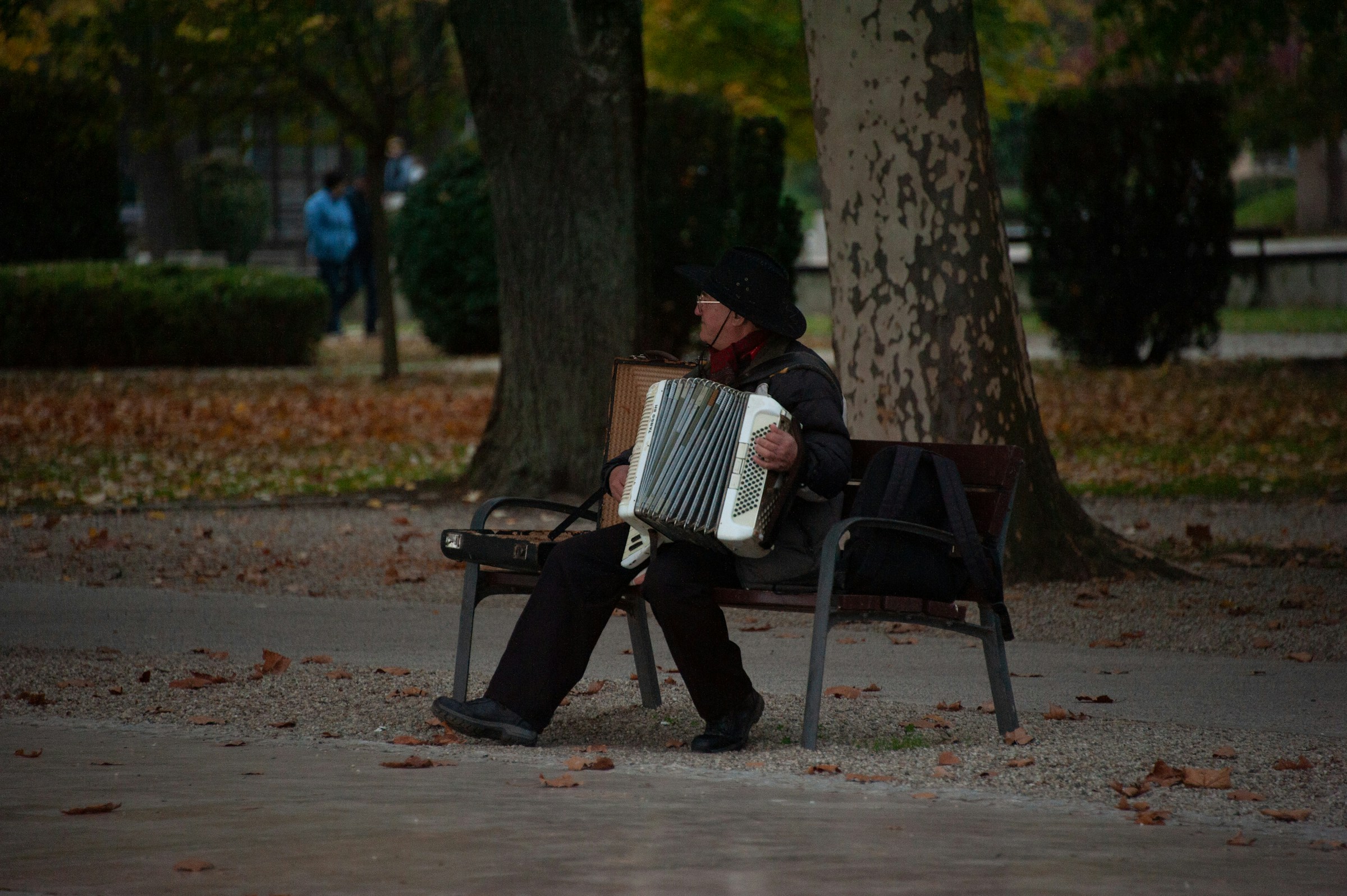 Уроки игры на баяне и гармони