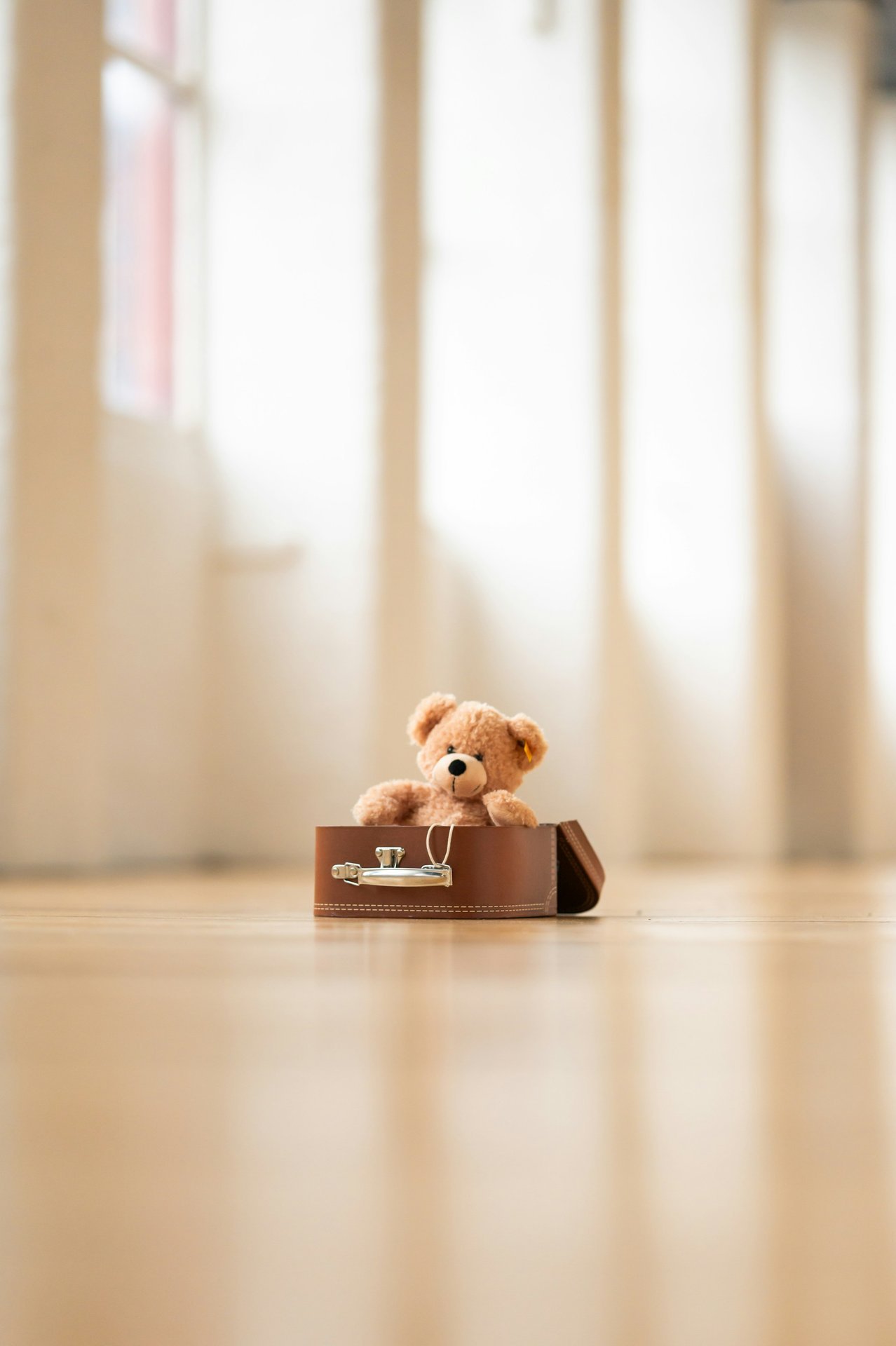 Мишки и мультики для детей