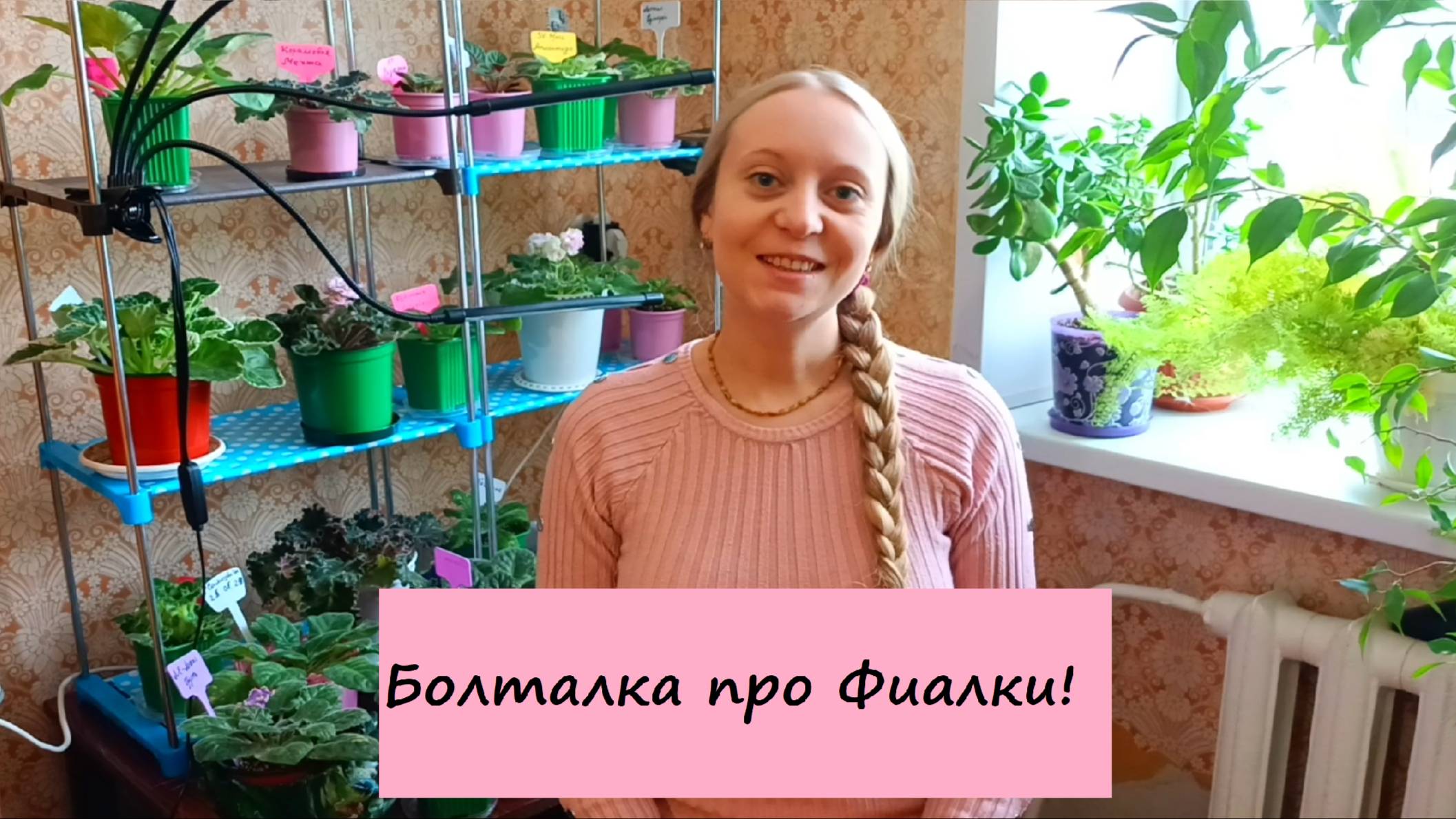 Болталка про Фиалки!