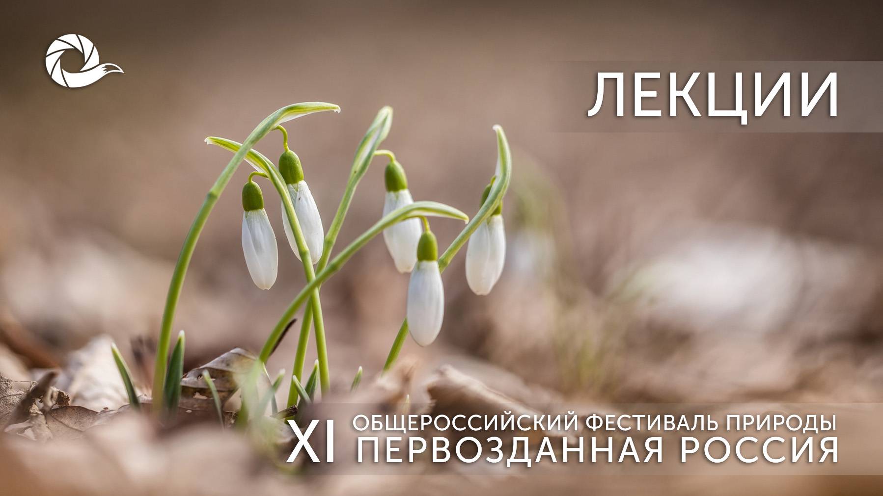 Лекции XI Фестиваля