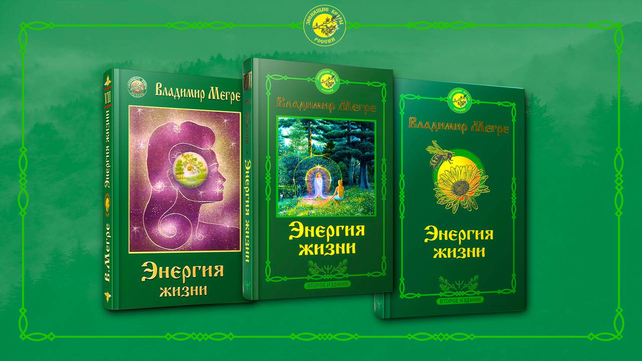 Книга VII «Энергия Жизни»