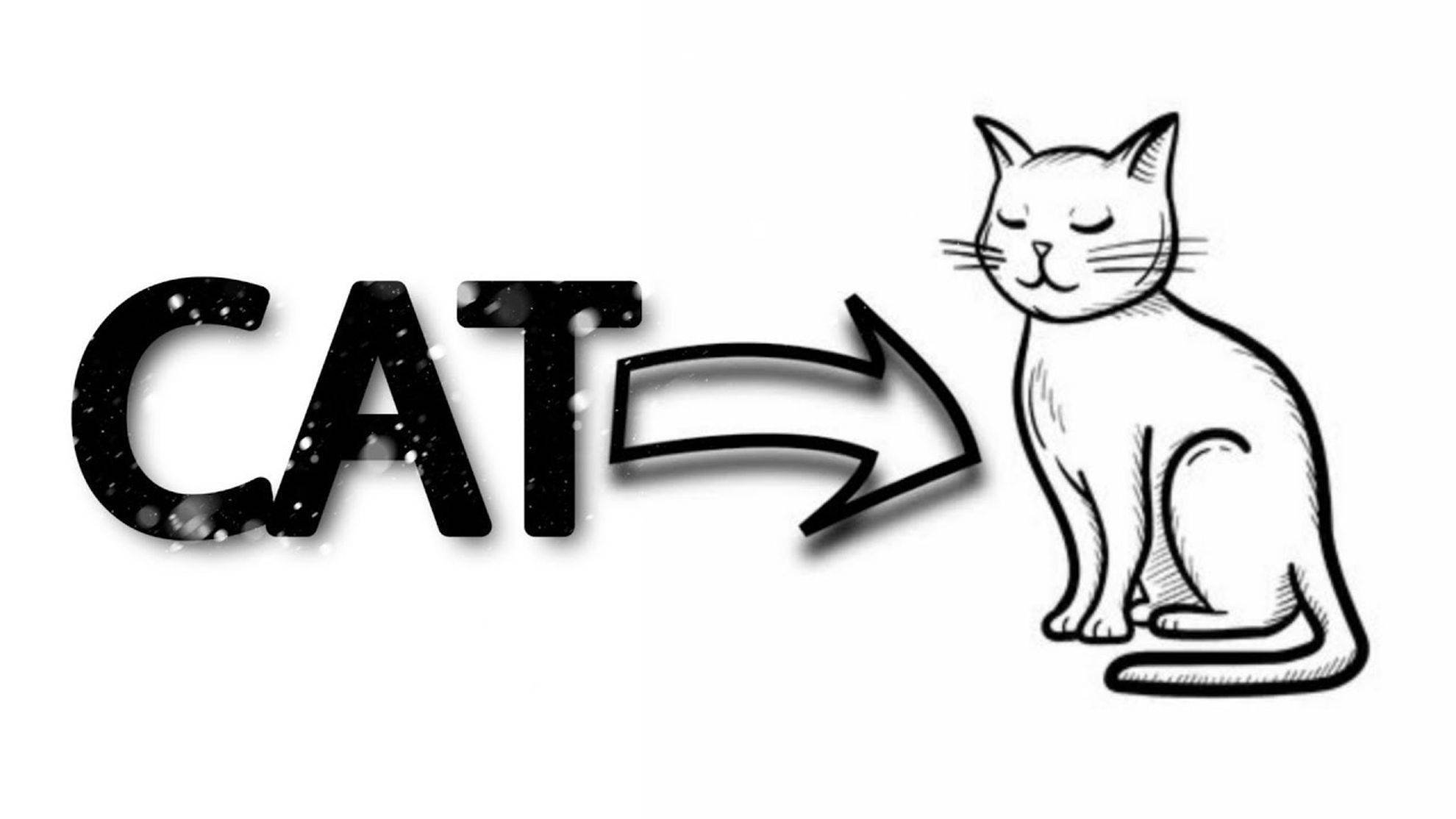 Cats  😺