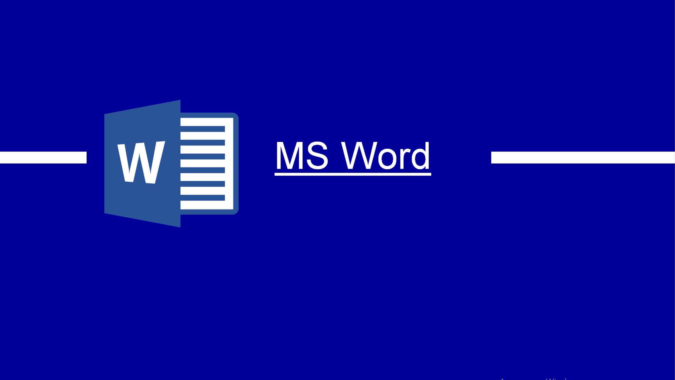 MS Word