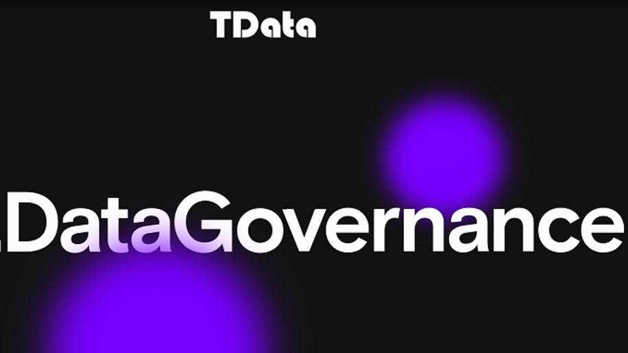 Управление данными 
Data Governance