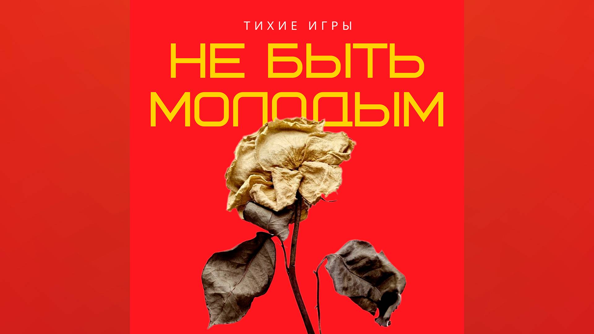 Тихие Игры – Не быть молодым (2024)