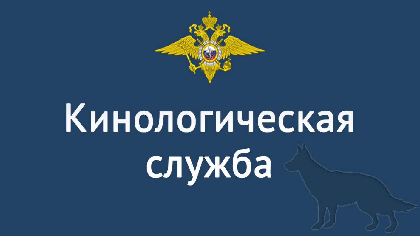 Кинологическая служба