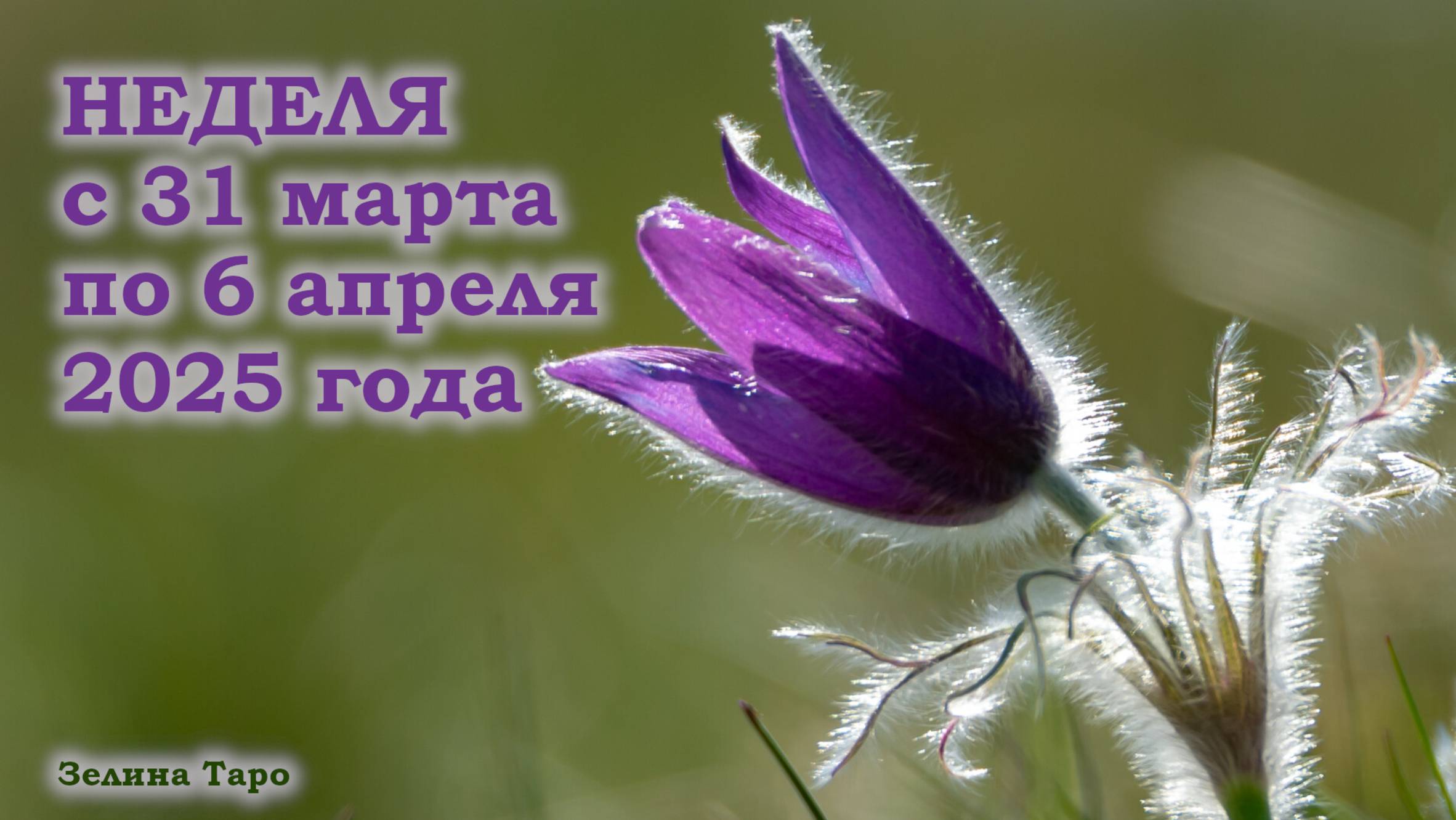 Неделя с 31 марта по 6 апреля 2025 года