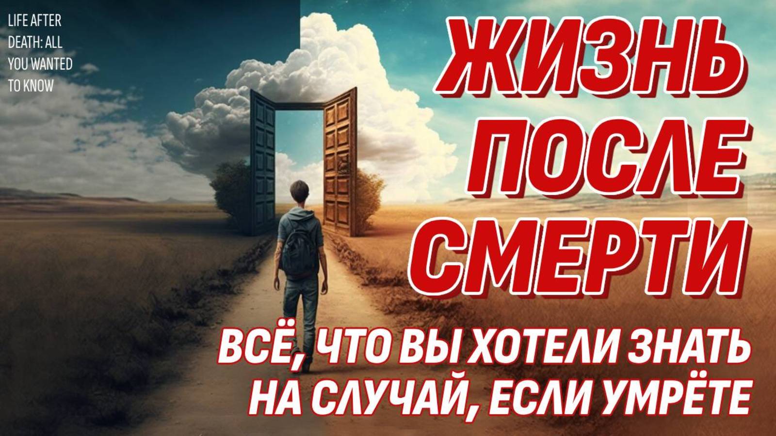 Жизнь после смерти для новичков. Курс лекций