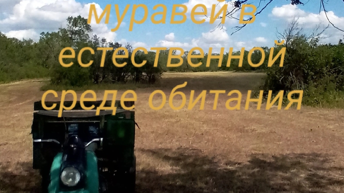 мотороллер муравей