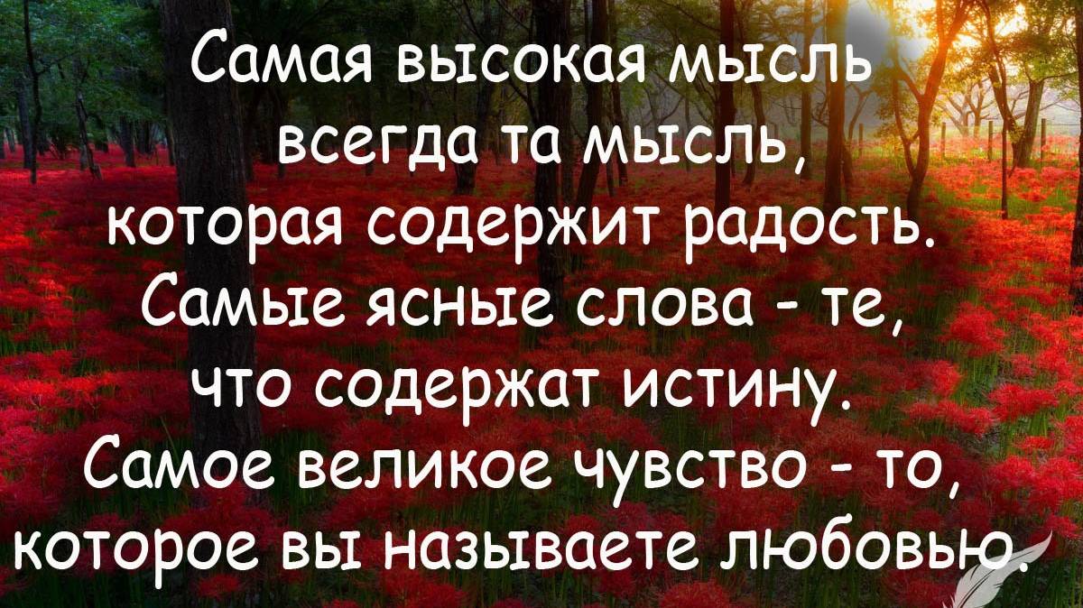 Сила слова. Я не поэт