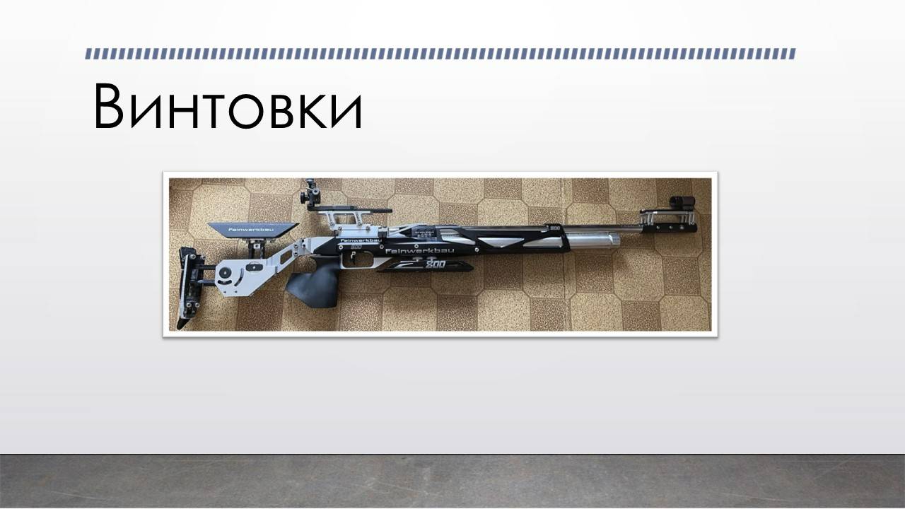 Винтовки и силуэтная стрельба