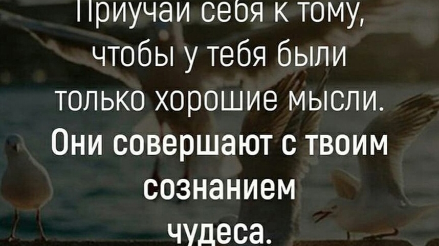 Юмор