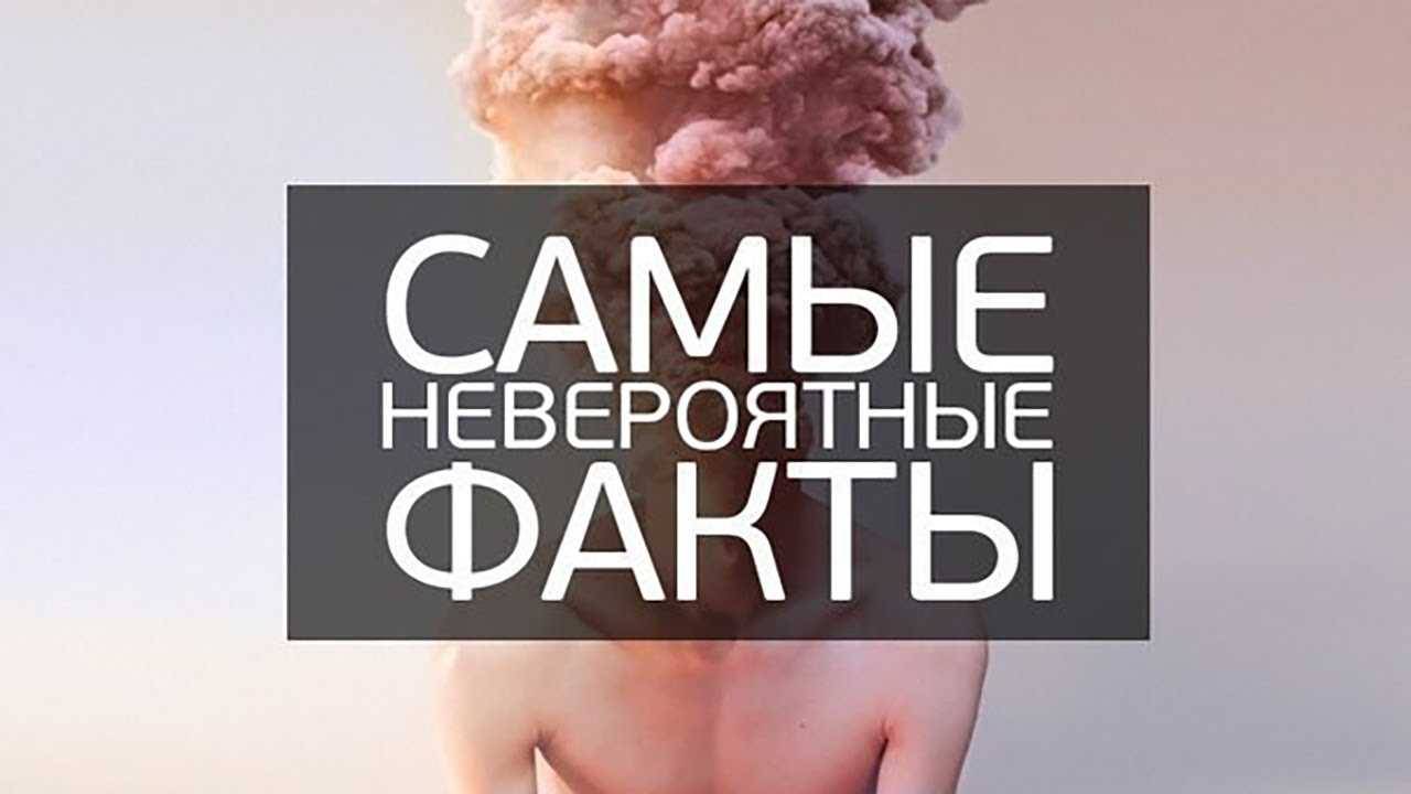 «Невероятно интересные факты»