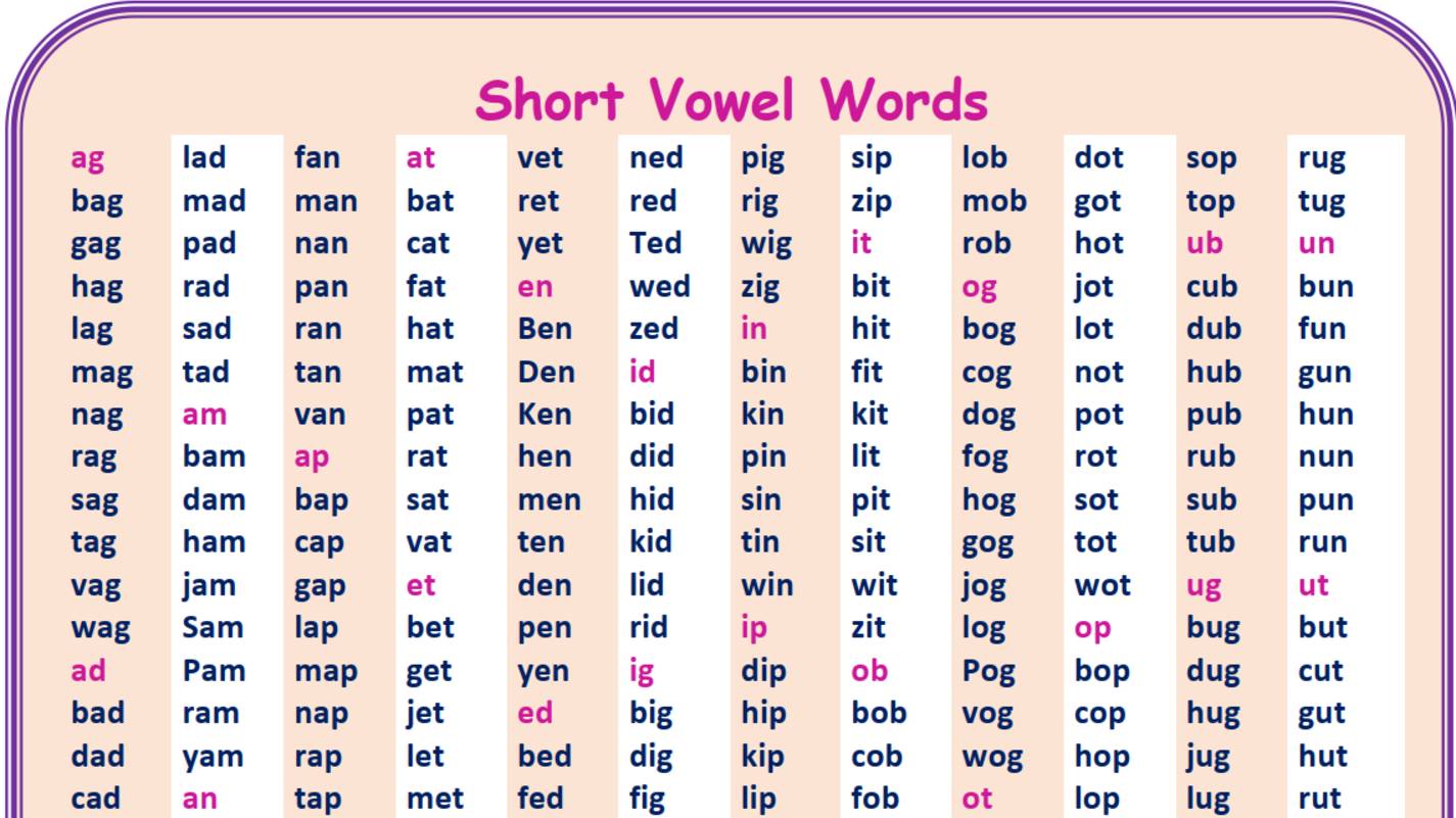 Reading Short Vowels Family Words