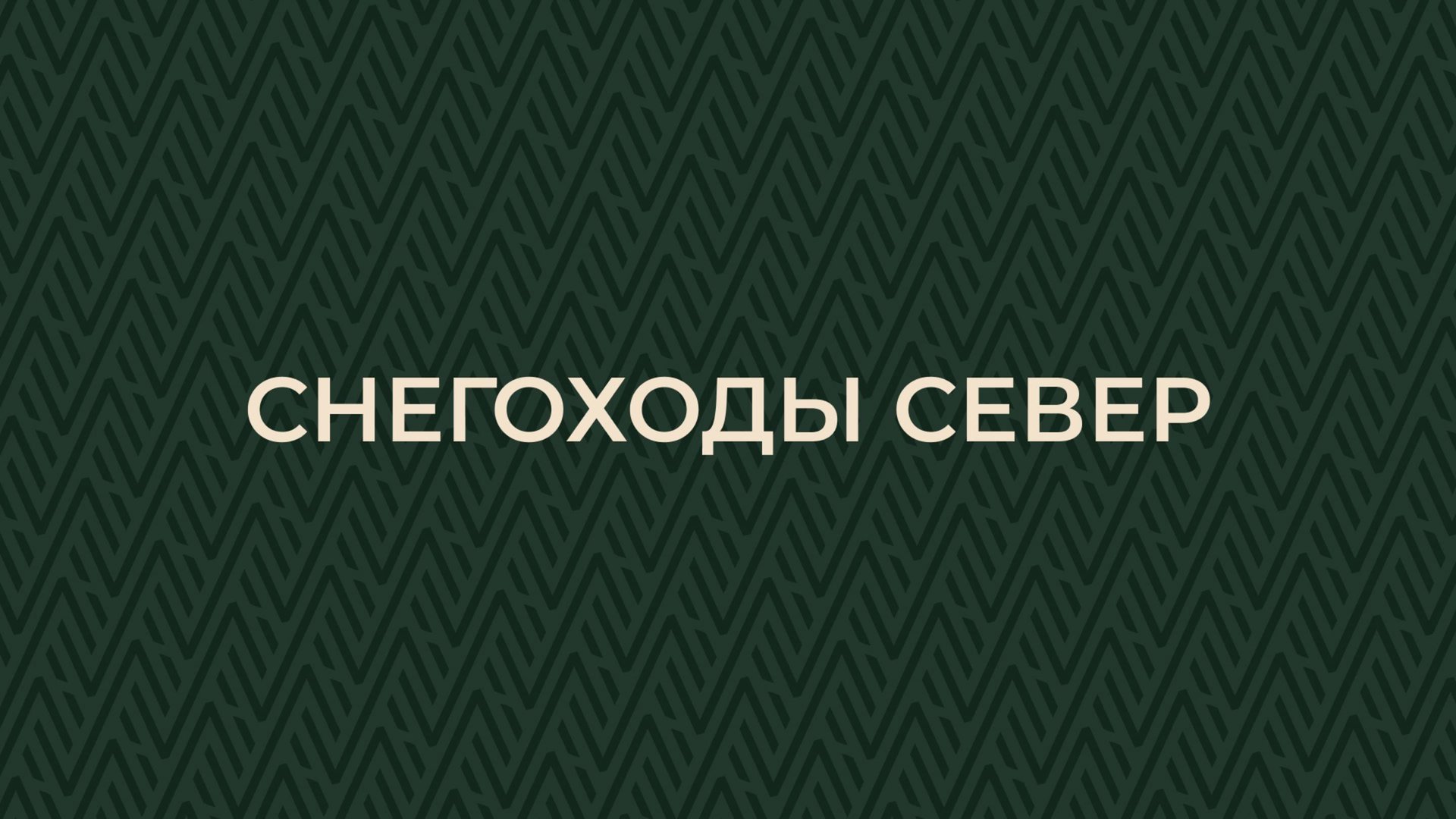 Снегоходы СЕВЕР