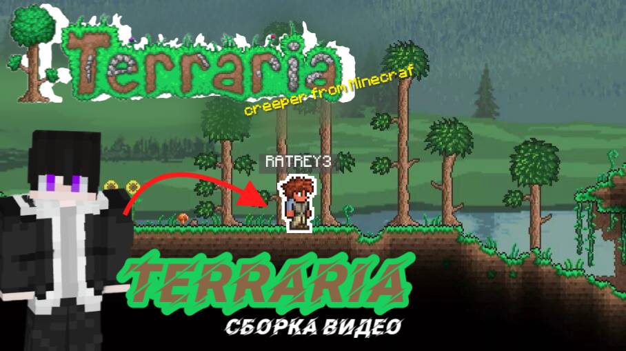 TERRARIA