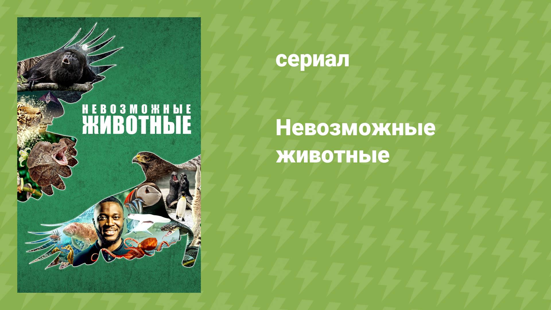 Невозможные животные (документальный сериал, 2021)