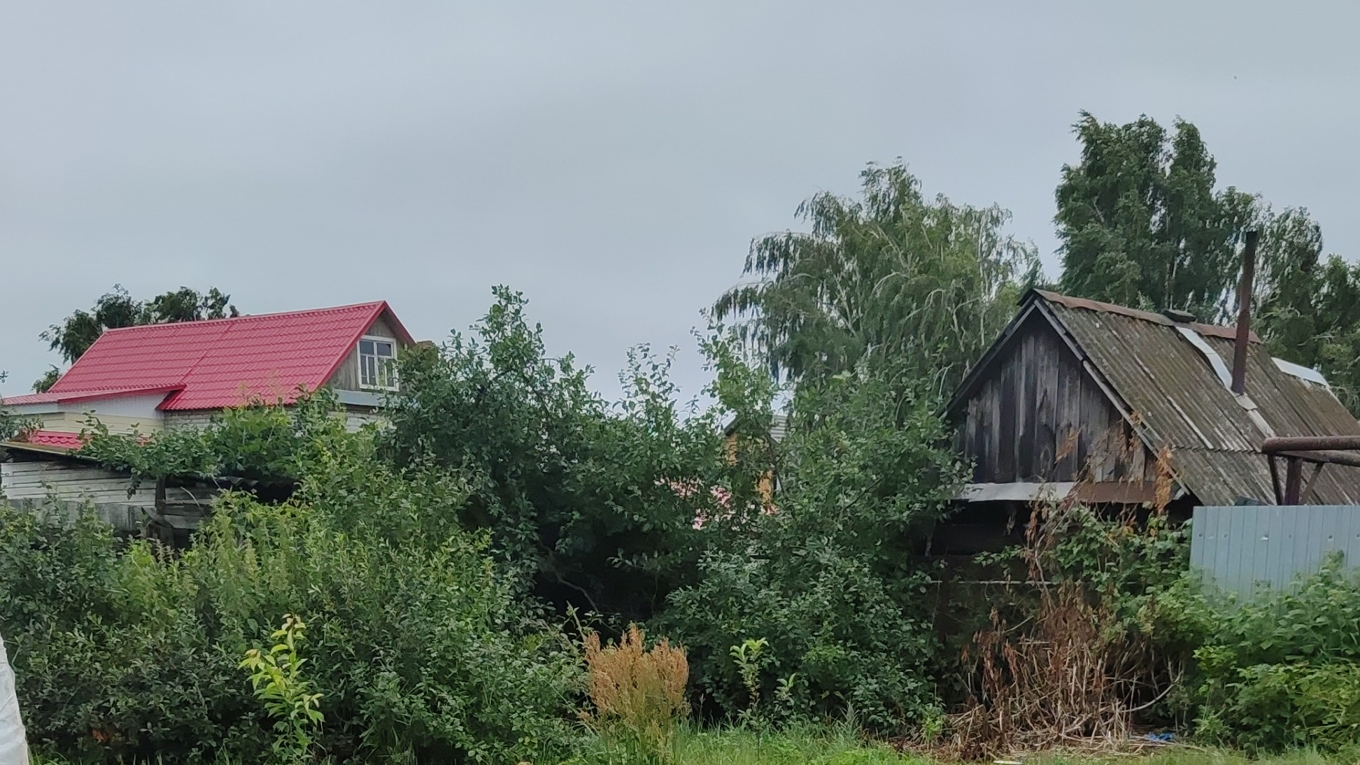 Родина
