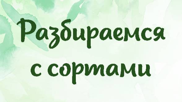 Разбираемся с сортами