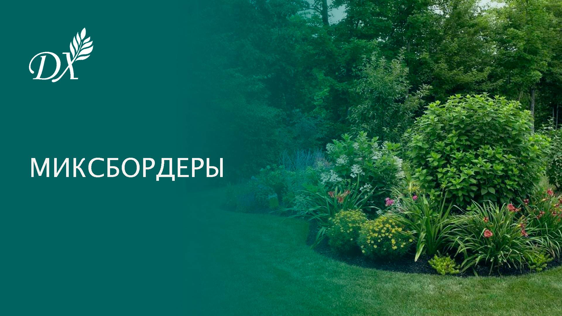 Миксбордеры