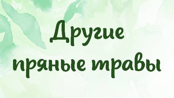 Другие пряные травы