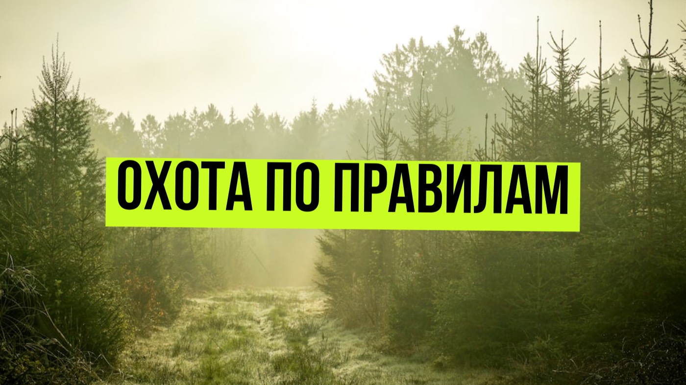 Охота по правилам