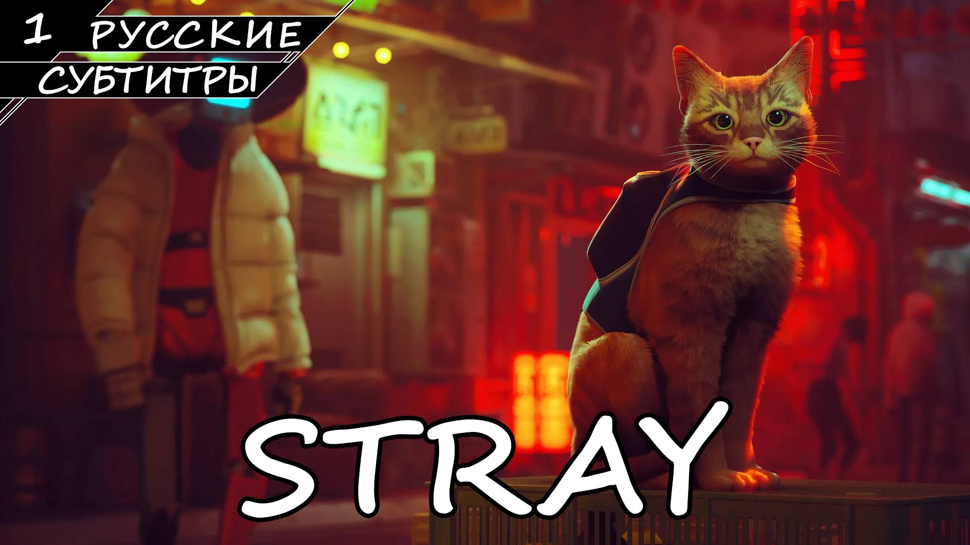 Stray