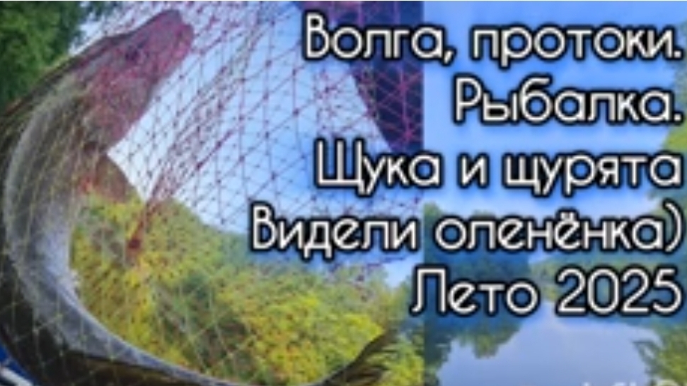 Волга, леса и озера. Все чем богата природа России