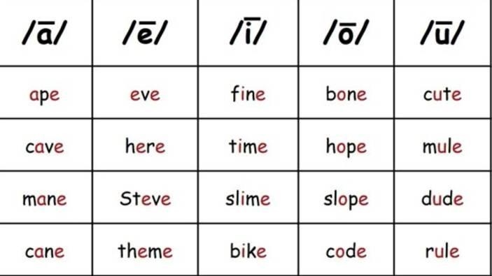 Reading Long Vowels Family Words