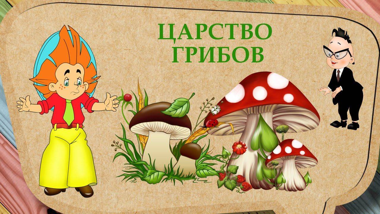 Грибы