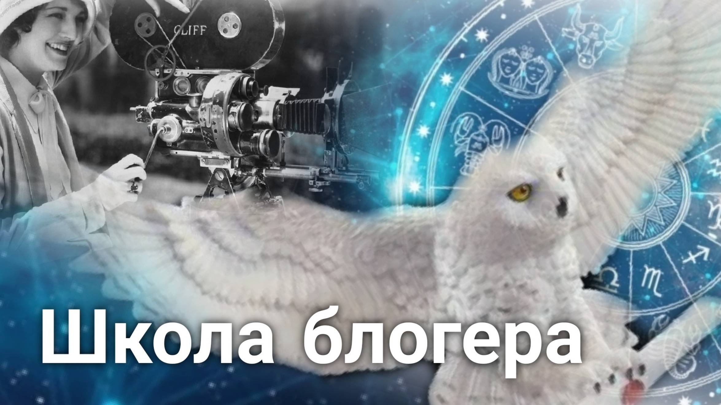 ШКОЛА  БЛОГЕРА