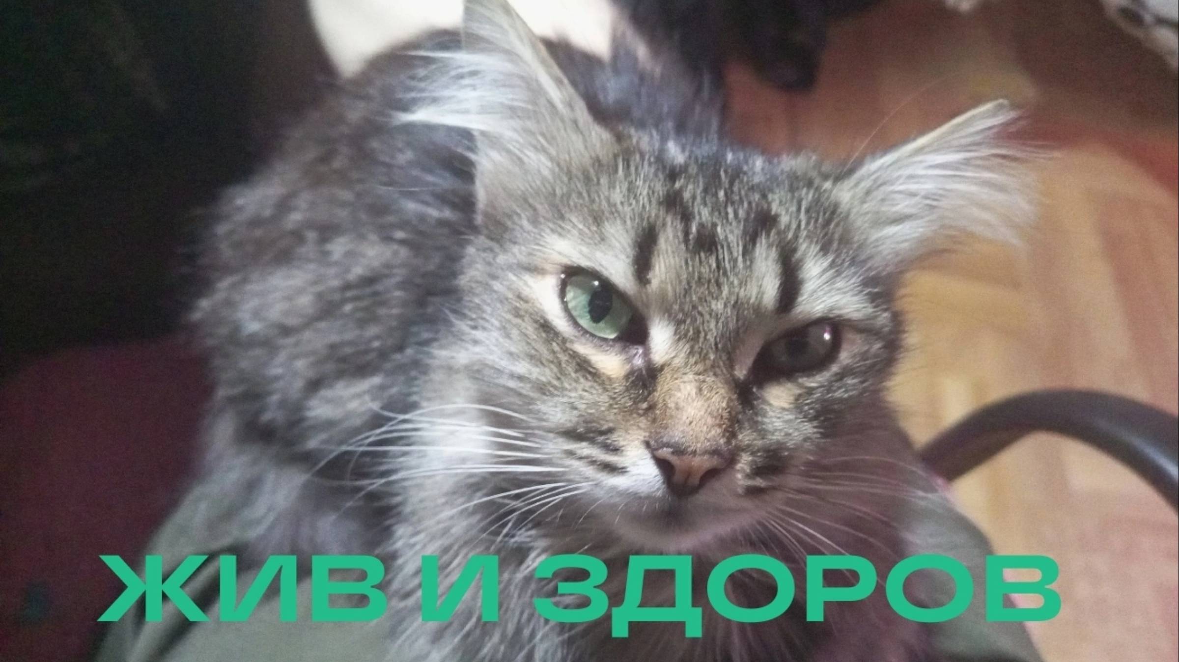 Все серии крутого сериала💥💥💥