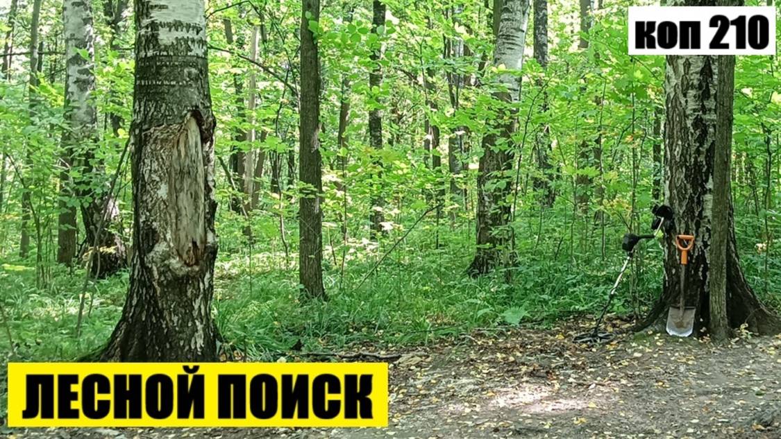 ИНТЕРЕСНЫЕ ПРОГУЛКИ С ПРИБОРОМ