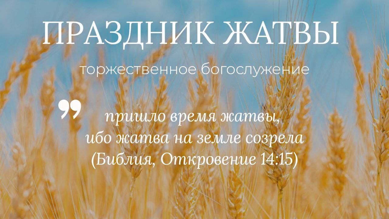 Жатва