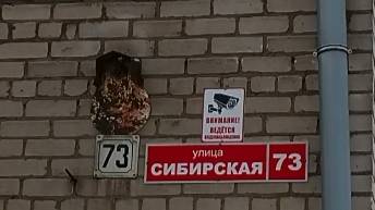 Двор Сибирская 73