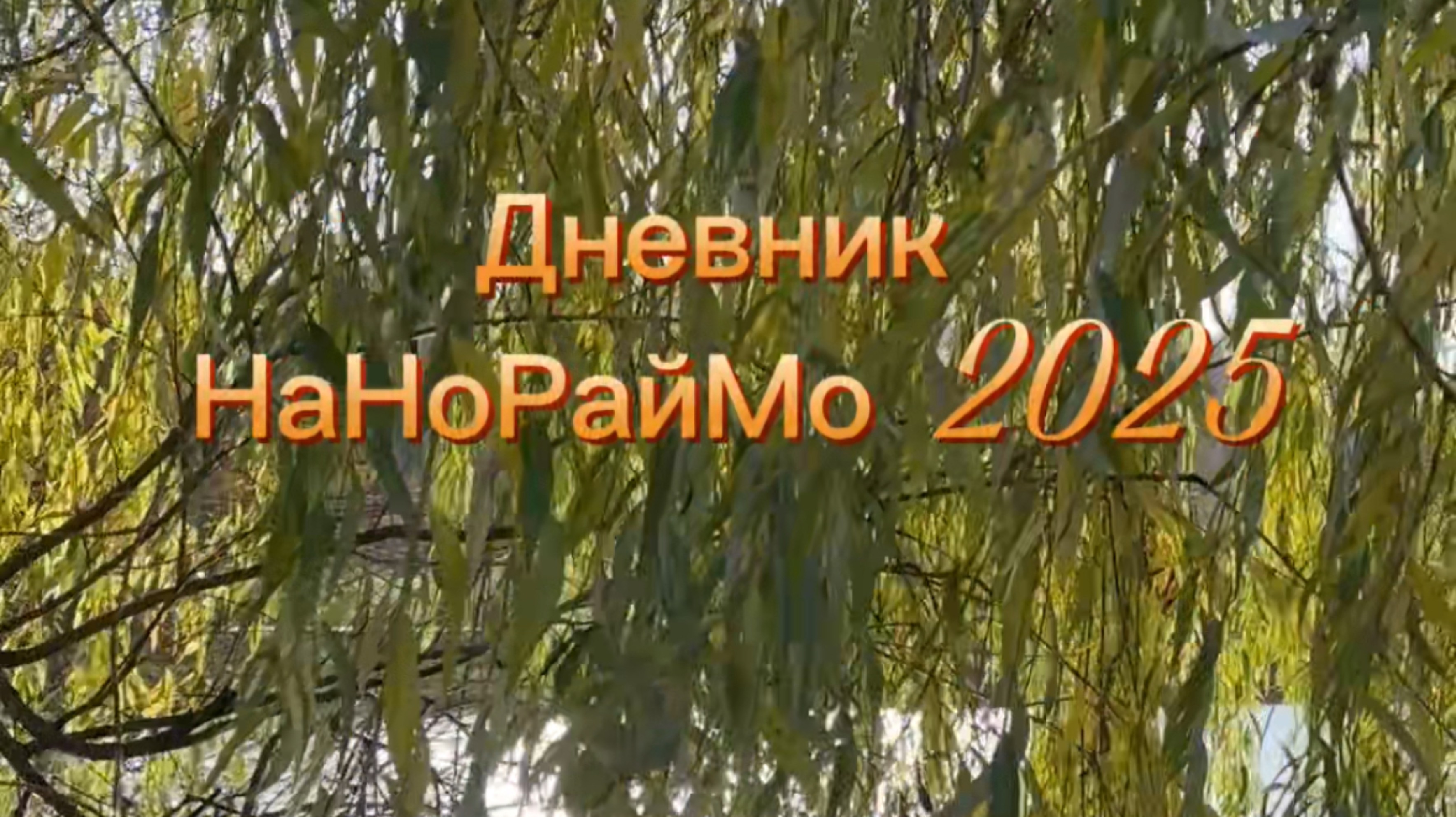 НаНоРайМо 2025, писательский марафон