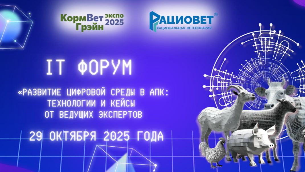 II ИТ-форум
