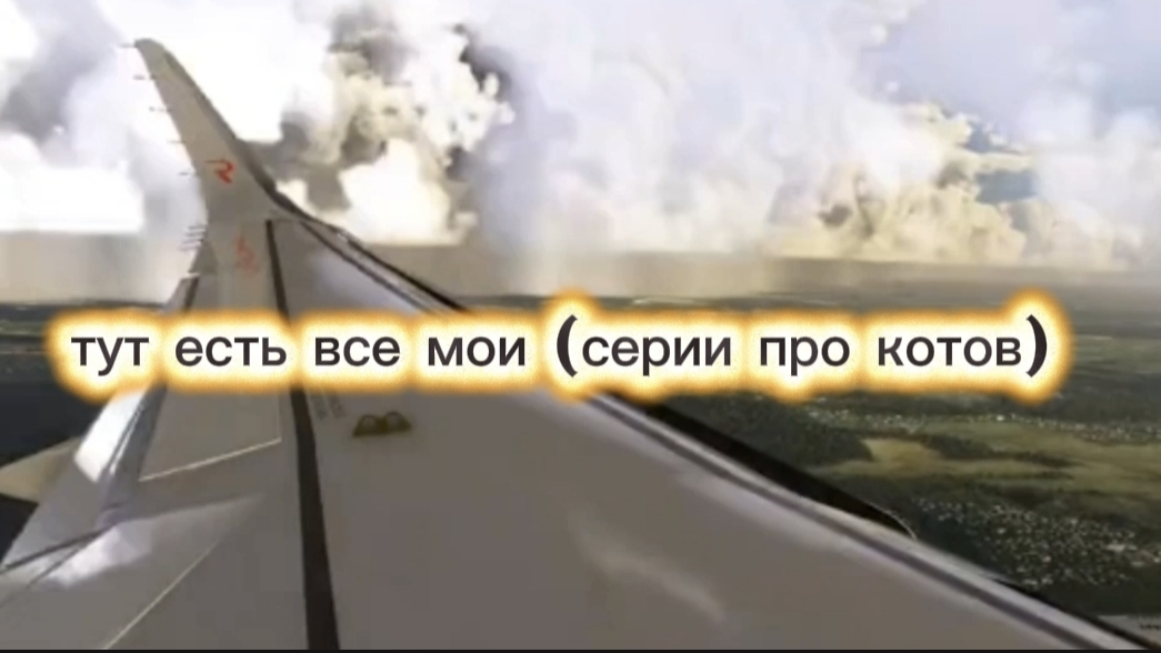 КОТЫ!!!