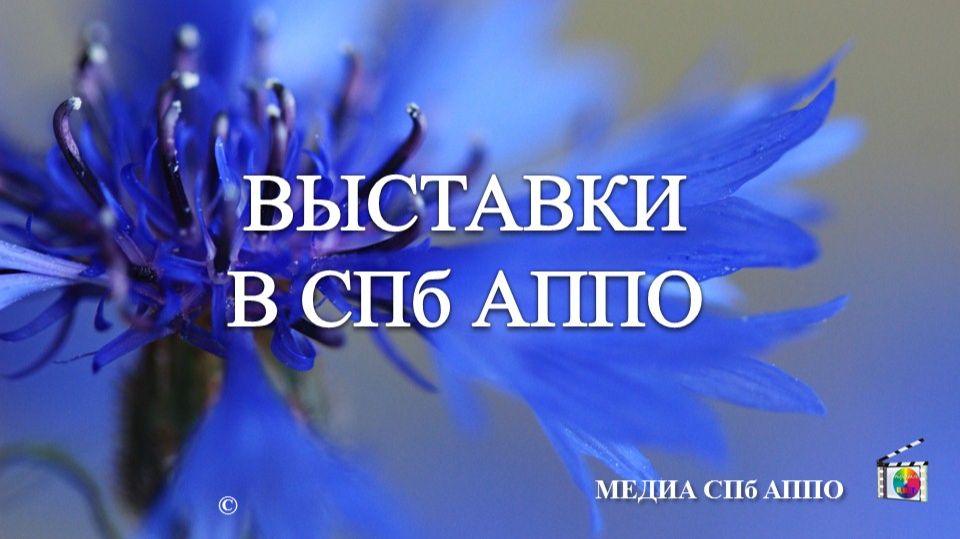 Выставки в СПб АППО