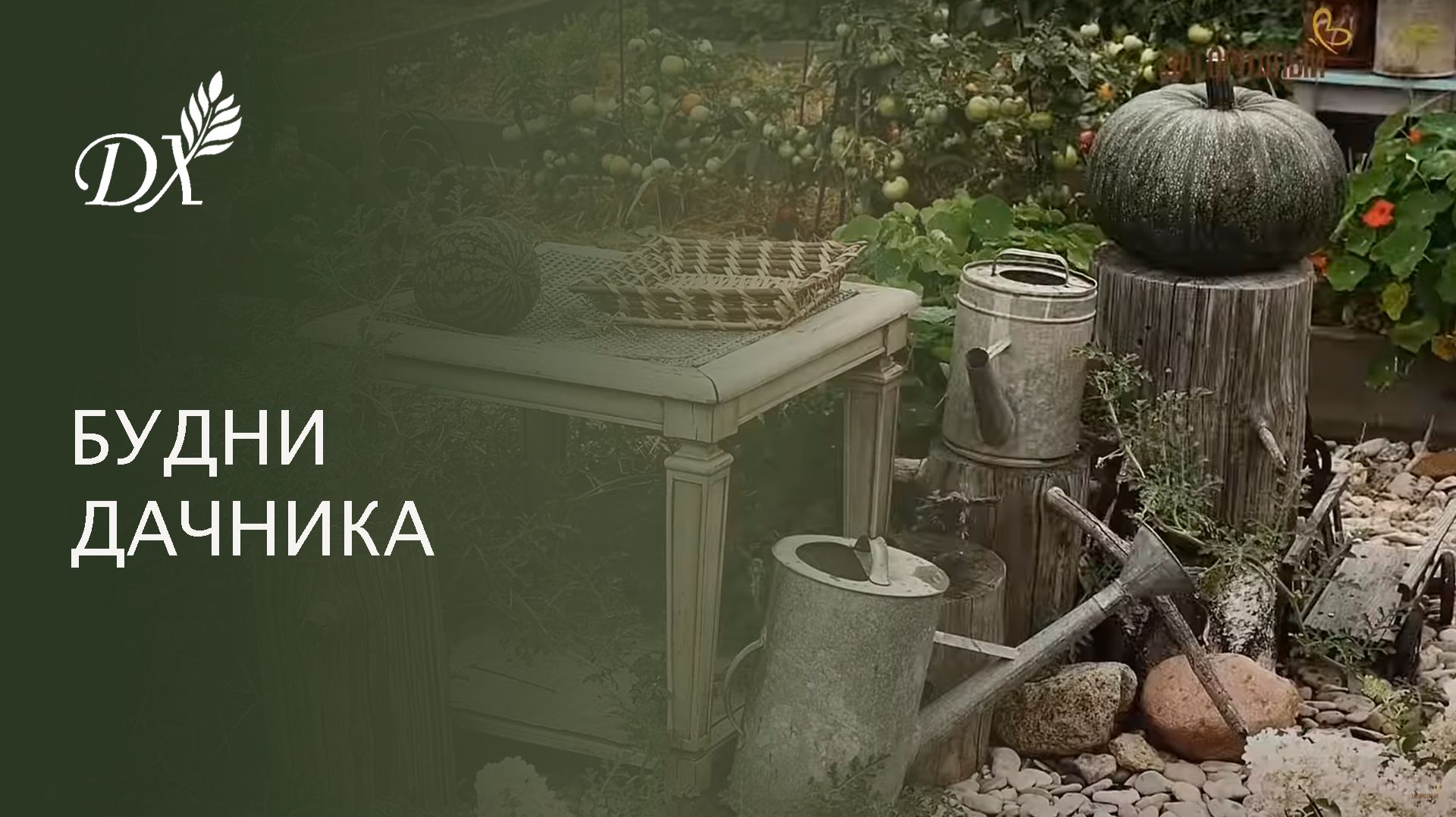 БУДНИ ДАЧНИКА