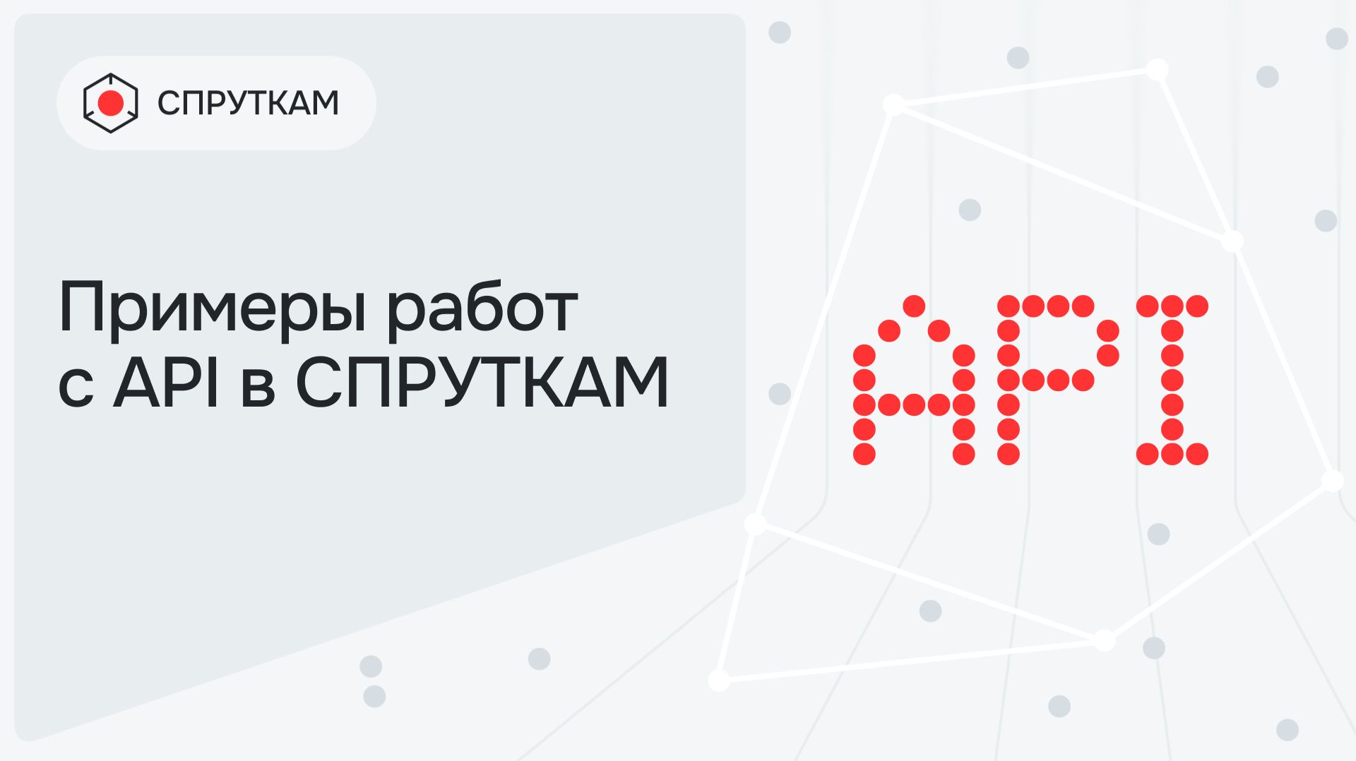 Примеры работ с API в СПРУТКАМ