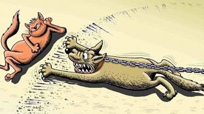 😁Все о недружелюбных людях по отношению к вам!!!