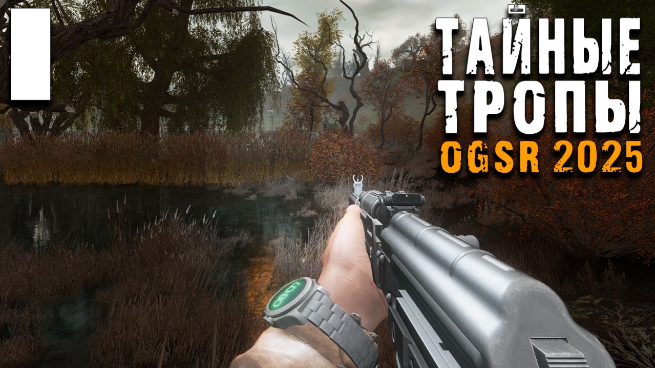 Тайные Тропы OGSR 2025 ► Прохождение игры